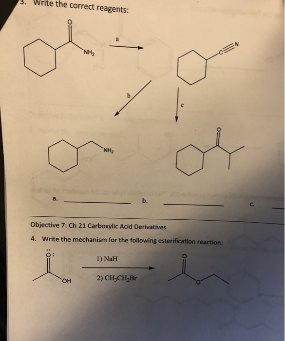 Solved Write the correct reagents: 3. NH2 NH2 b. C. | Chegg.com