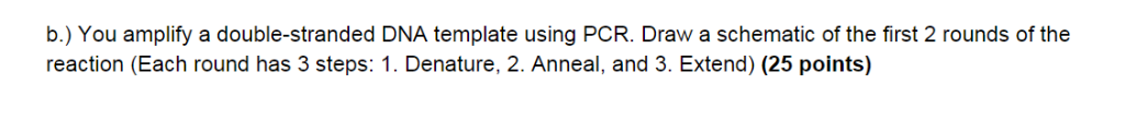 Solved b.) You amplify a double-stranded DNA template using | Chegg.com