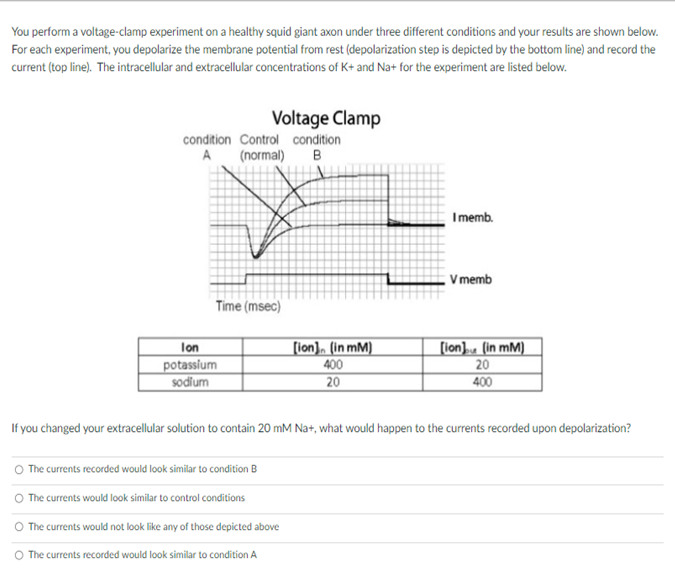Solved You perform a voltage-clamp experiment on a healthy | Chegg.com