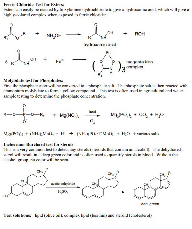 Solved Ferric Chloride Test for Esters: Esters can easily be | Chegg.com