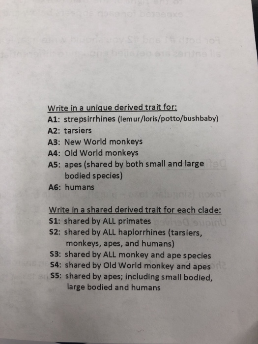Solved Write in a unique derived trait for: A1: | Chegg.com
