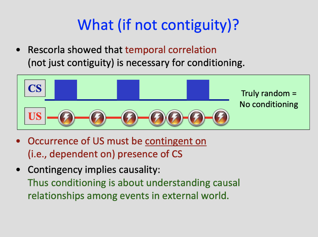 Solved What is Relative Validity and Contingency? What is it | Chegg.com