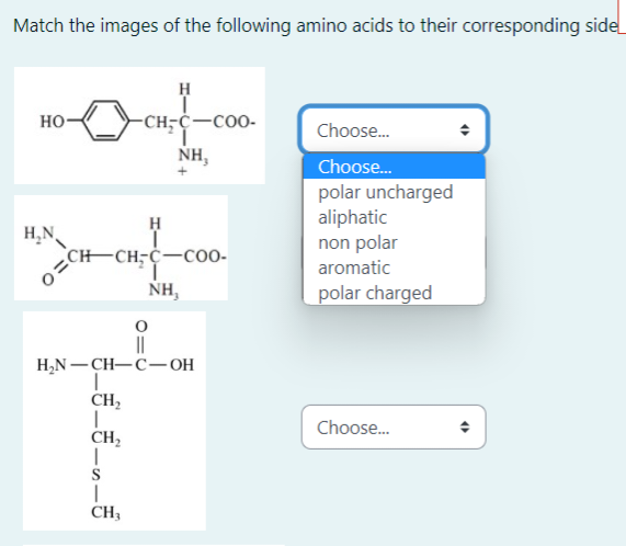 Solved Match the images of the following amino acids to | Chegg.com