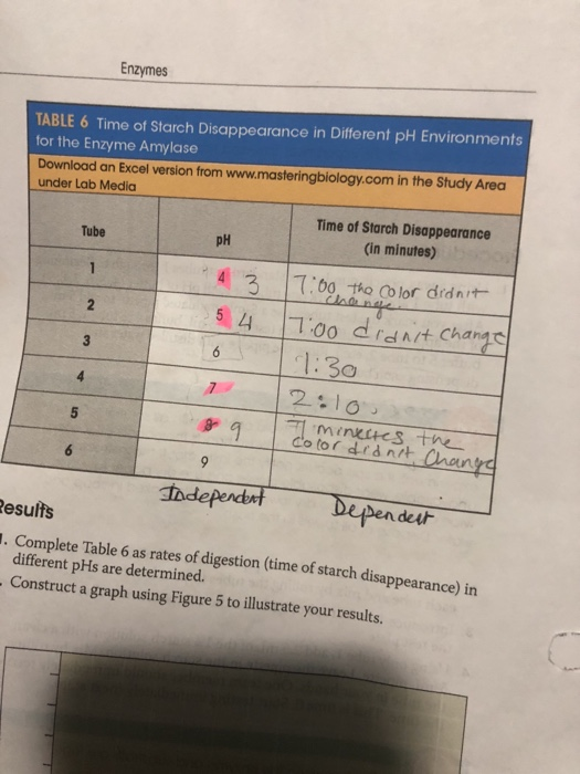 Solved Can you help me to write hypothesis and prediction | Chegg.com