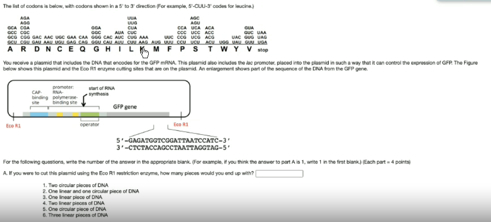 Solved The list of codons is below, with codons shown in a | Chegg.com
