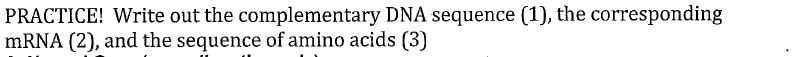 Solved PRACTICE! Write out the complementary DNA sequence | Chegg.com