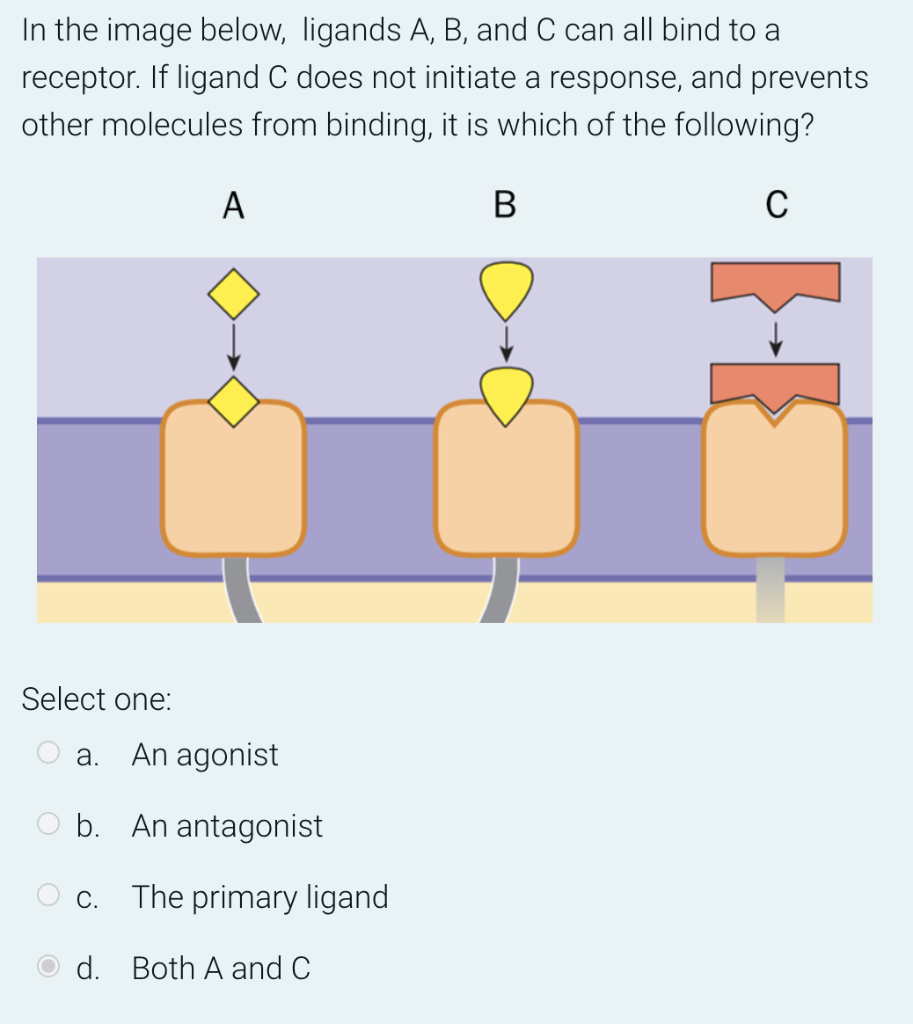 Solved In the image below, ligands A,B and C can all bind to | Chegg.com