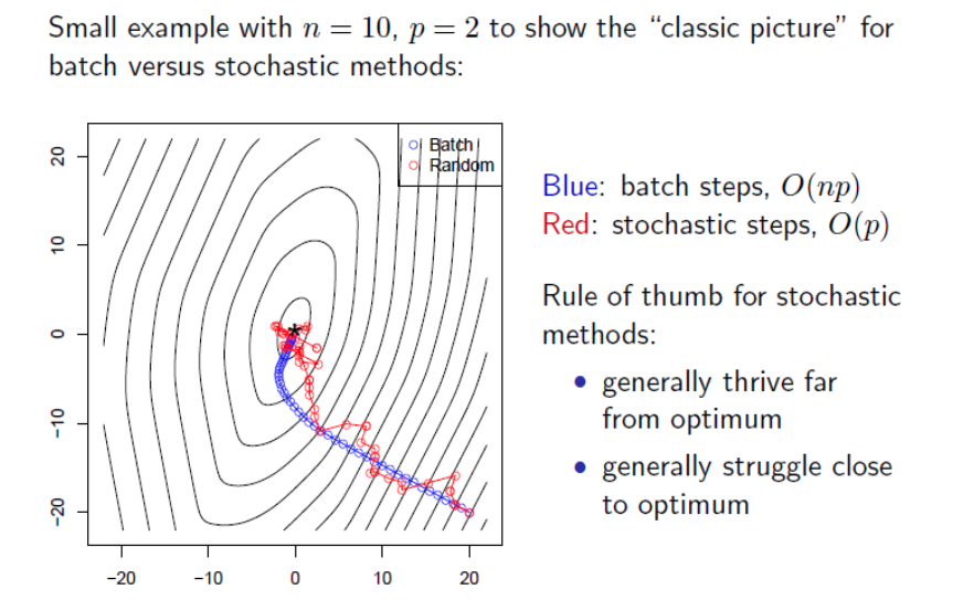 Solved Refer to the stochastic logistic regression on the | Chegg.com