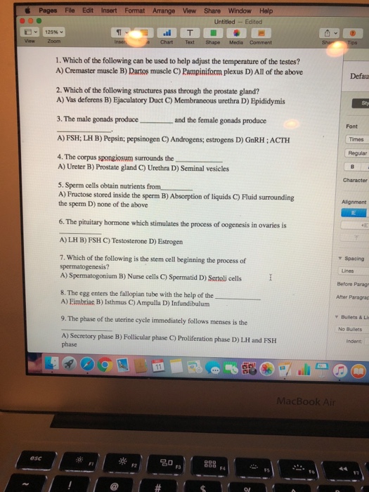 Solved Pages File Edit Insert Format Arrange View Share | Chegg.com