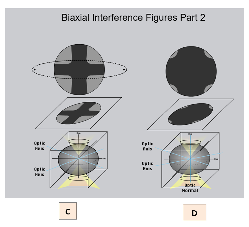 Solved Illustrate and determine the type of | Chegg.com