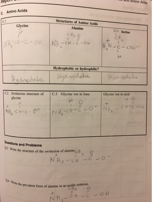 Solved alld Amino Repor c. Amino Acids C.I Acids Structures | Chegg.com