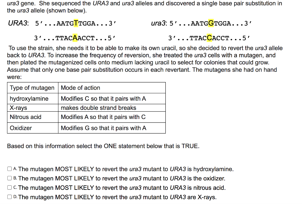 Solved The URA3 gene is required to make uracil in yeast. A | Chegg.com