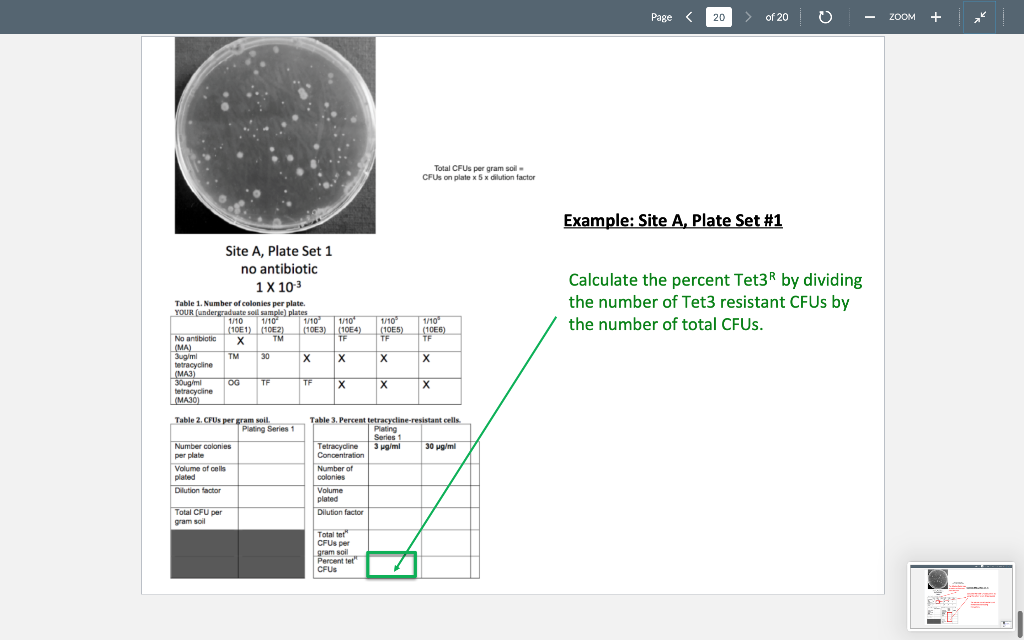 Step 4: count colonies from "countable" plates For | Chegg.com