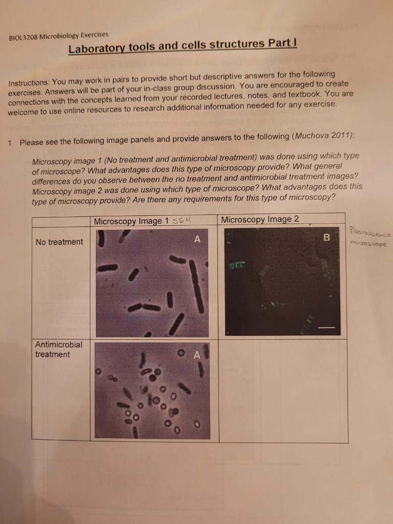 Solved BIOL3208 Microbiology Exercises Laboratory tools and | Chegg.com