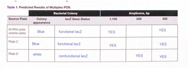 Solved Table 1. Predicted Results of Multiplex PCR. Part 3 | Chegg.com