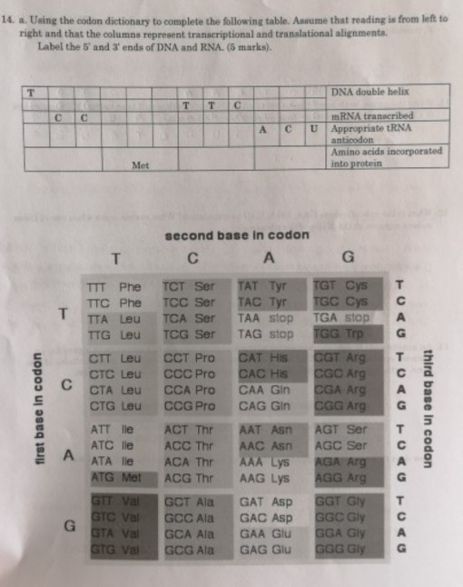 Solved 14. a. Using the codon dictionary to complete the | Chegg.com