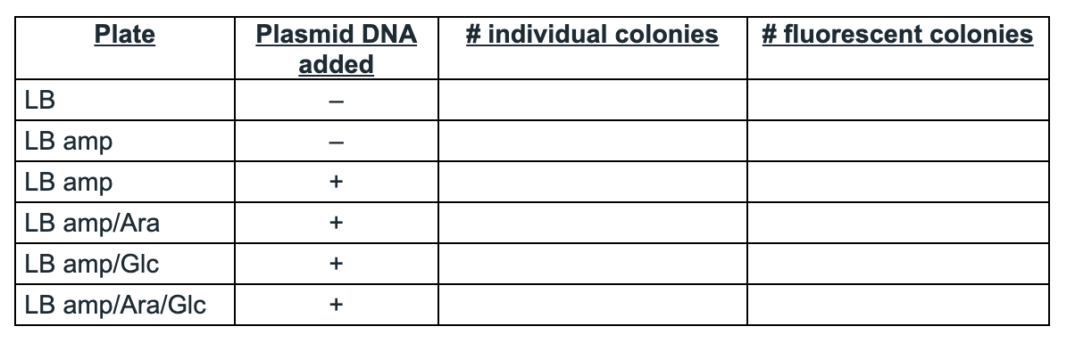 Solved Plate # individual colonies # fluorescent colonies | Chegg.com