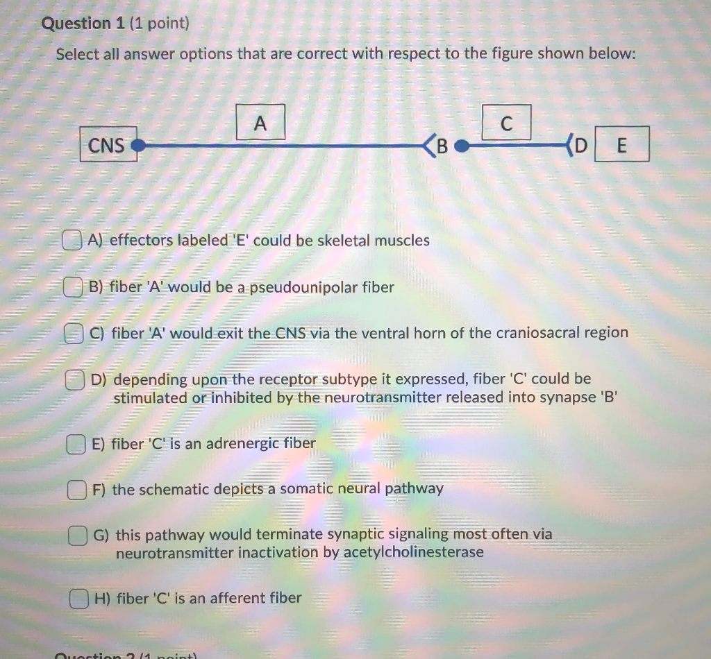 Solved Question 1 (1 point) Select all answer options that | Chegg.com