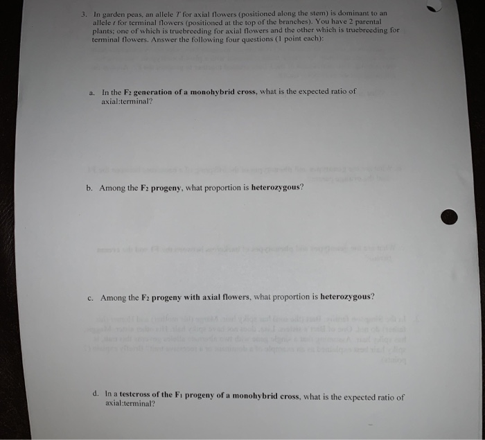 Solved 3. In garden peas, an allele 7 for axial flowers | Chegg.com