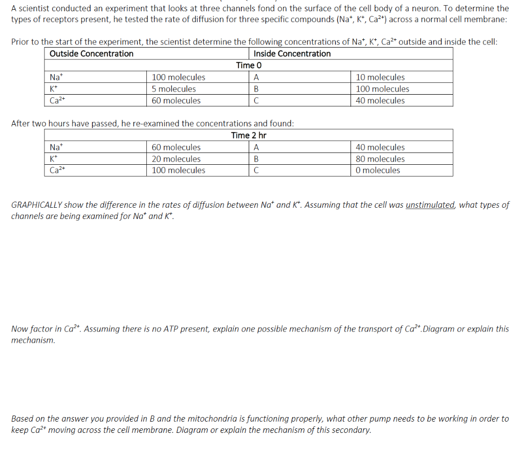 Solved Rate of diffusion for Na+ and K+, from start to two | Chegg.com