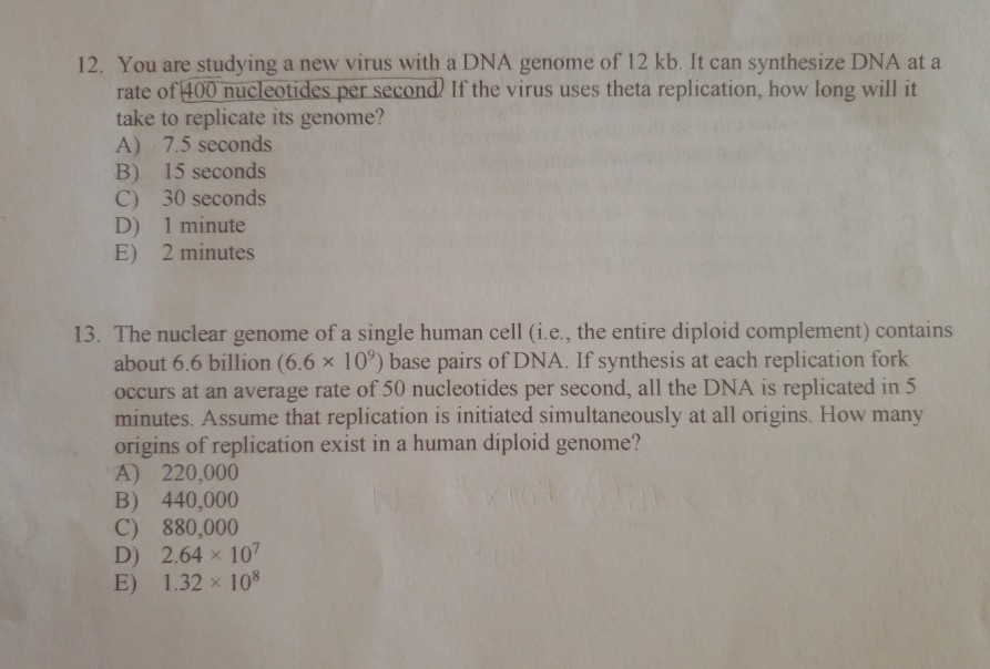 Solved 12. You are studying a new virus with a DNA genome of | Chegg.com