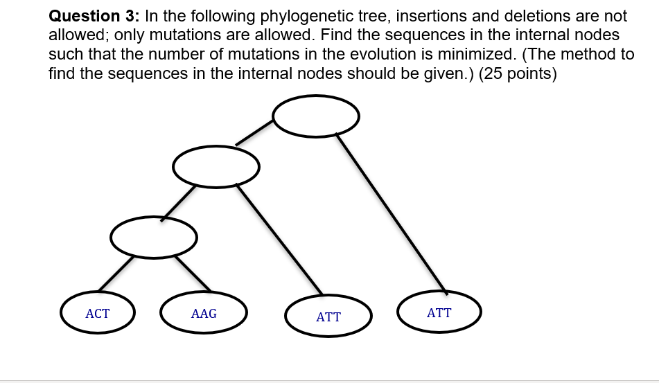 Question 3: In the following phylogenetic tree, | Chegg.com