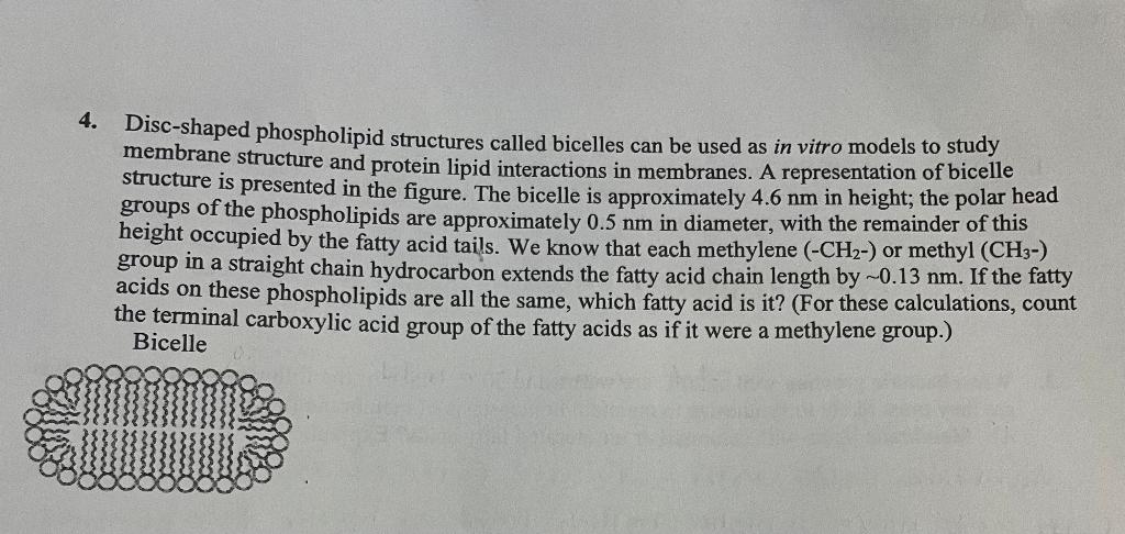 Solved Disc-shaped phospholipid structures called bicelles | Chegg.com