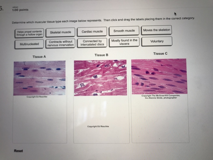 Solved Question 1 (of 10) 100 points Drag each label into | Chegg.com