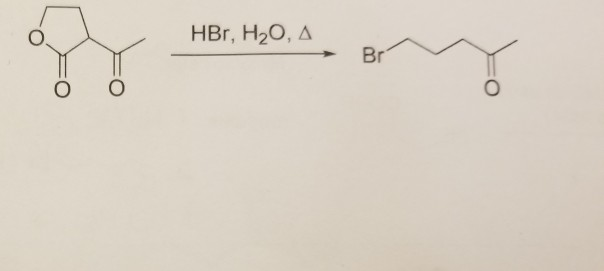 Solved HBr, H2O, Δ Br | Chegg.com