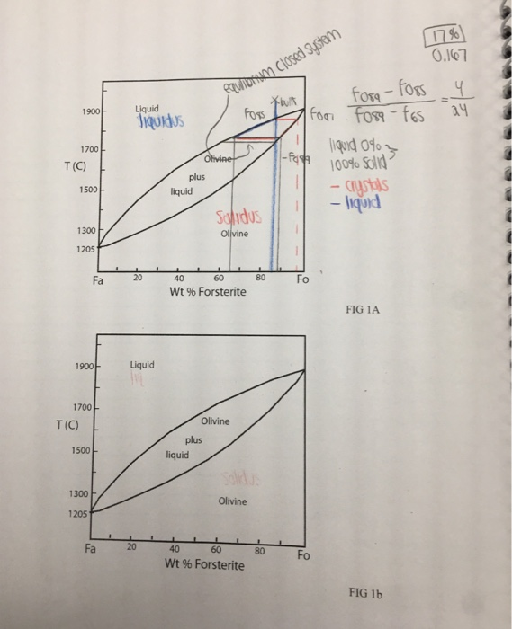 Solved GEOL 401 Igneous and Metamorphic Petrology Lab | Chegg.com