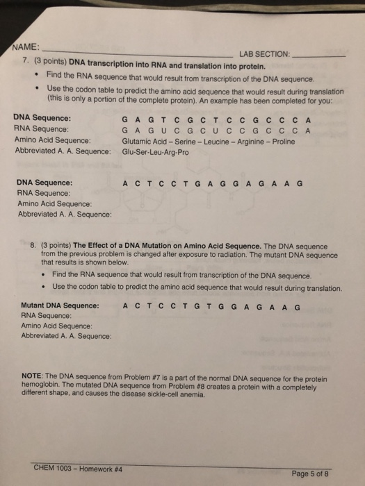 Solved NAME: LAB SECTION:- 7. (3 points) DNA transcription | Chegg.com