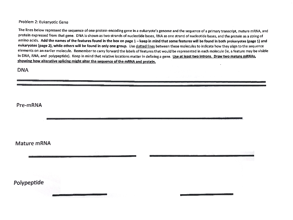 Solved Fill out this diagram about transcription and | Chegg.com