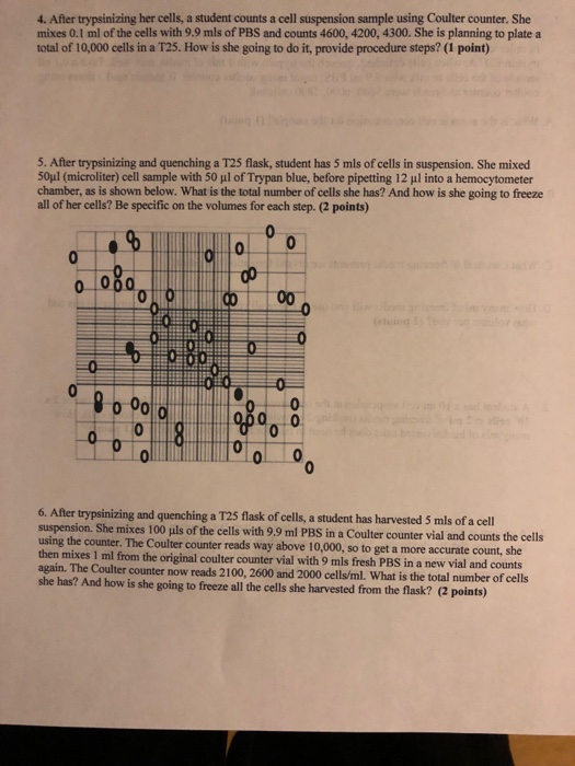Solved 4. After trypsinizing her cells, a student counts a | Chegg.com