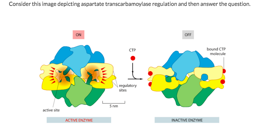Solved Consider this image depicting aspartate | Chegg.com