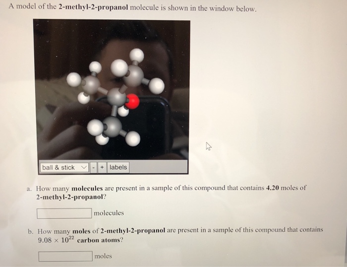 Solved A model of the 2-methyl-2-propanol molecule is shown | Chegg.com