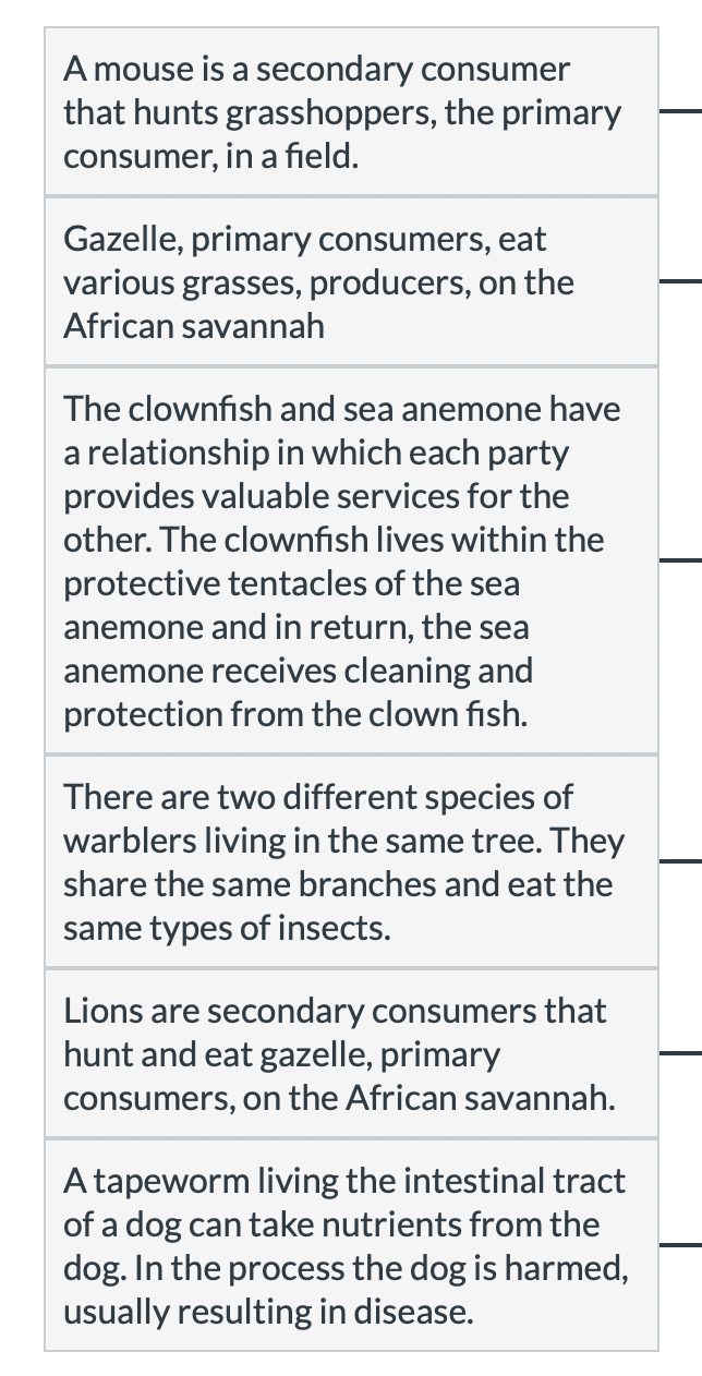 Solved A mouse is a secondary consumer that hunts | Chegg.com