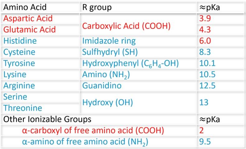 Solved 1. What is the net charge on the amino acid cysteine | Chegg.com