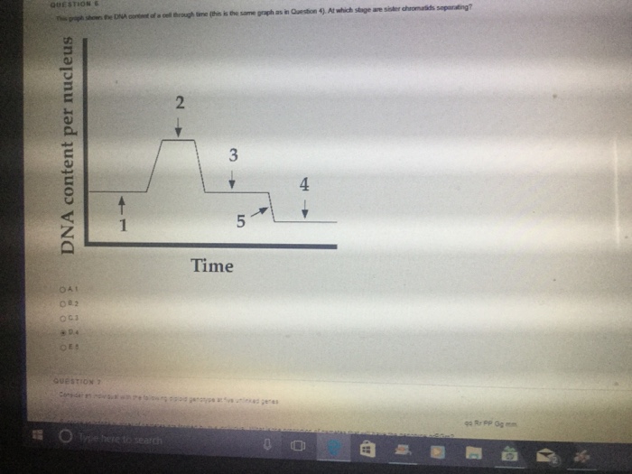 Solved This graph shows the DNA content of a cell through | Chegg.com