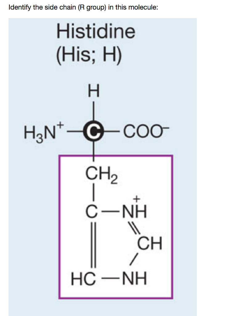 Solved ldentify the side chain (R group) in this molecule: | Chegg.com