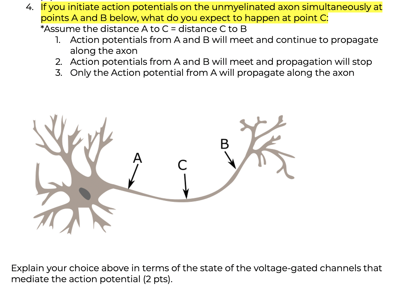 4. If you initiate action potentials on the | Chegg.com