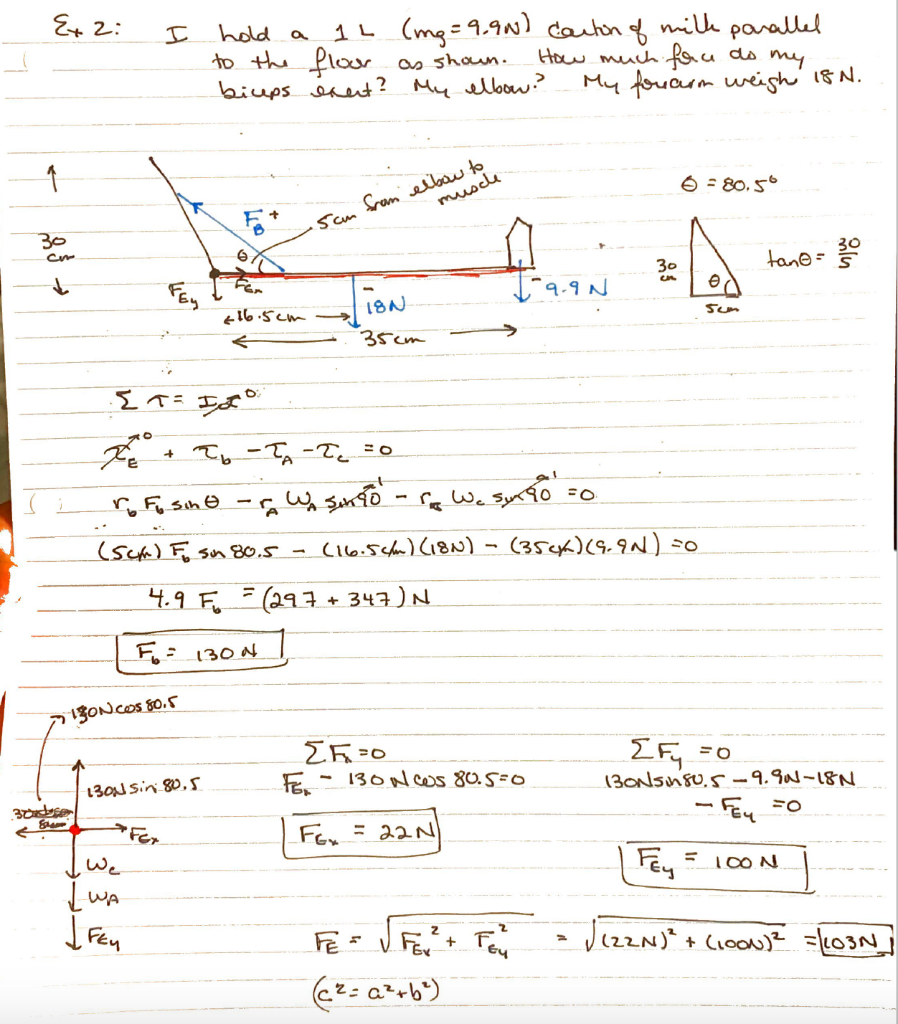 Solved Consider the equation mgh = {mv?, where m has units | Chegg.com