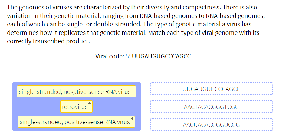Solved The genomes of viruses are characterized by their | Chegg.com
