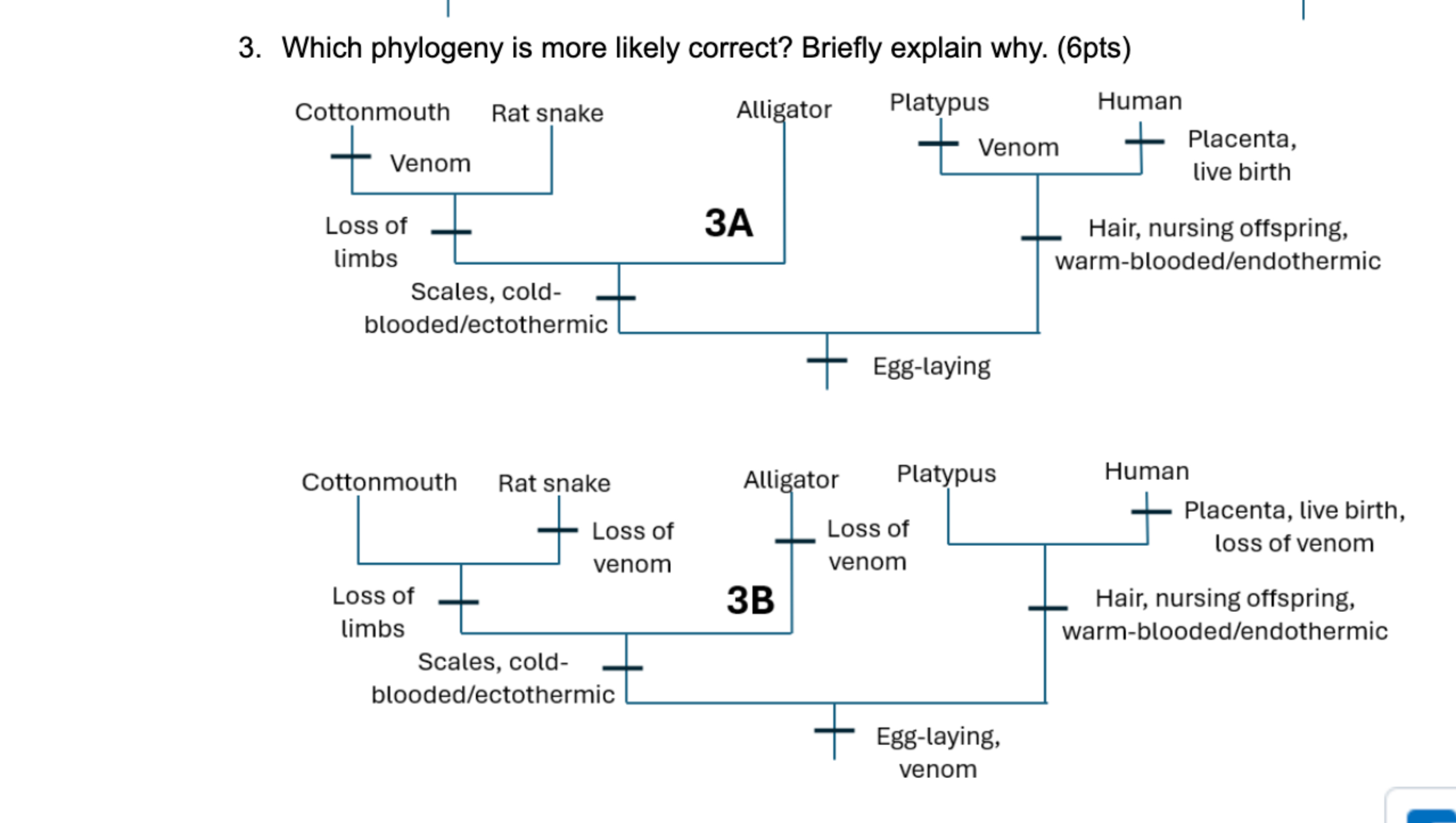Solved Which phylogeny is more likely correct? Briefly | Chegg.com