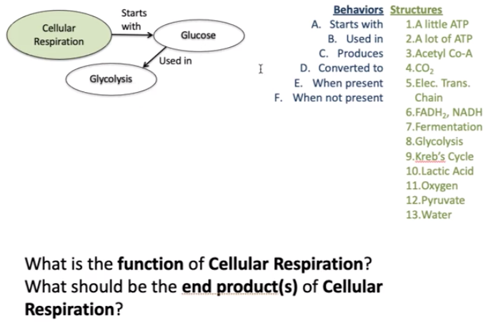 Solved Draw a structure-behavior-function (SBF) model of | Chegg.com