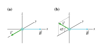 Solved Express vector F⃗ F→ in the form of Fx, Fy, Fz, where | Chegg.com