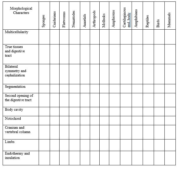 Solved Morphological Characters Multicellularity True | Chegg.com