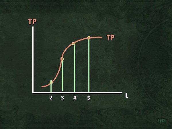 Solved 29. ﻿Refer to the above graph. Which of the following | Chegg.com