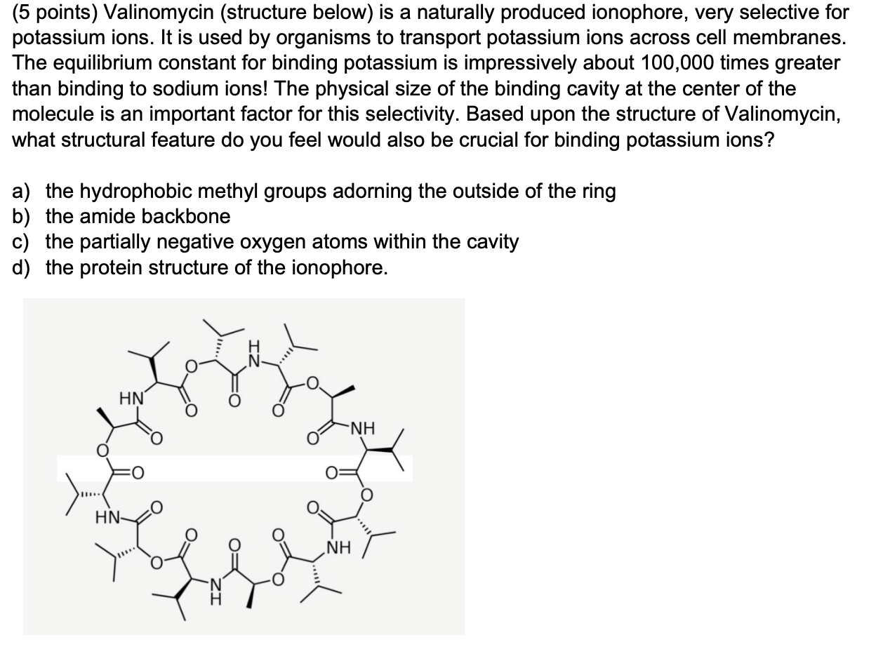 Solved (5 points) Valinomycin (structure below) is a | Chegg.com