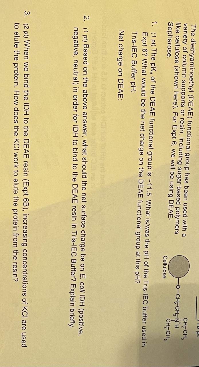 Solved The diethyaminoethyl (DEAE) functional group has been | Chegg.com