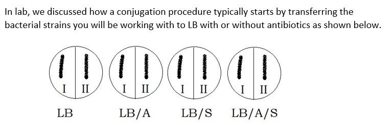 Solved For Part III of the Conjugation experiment, we | Chegg.com